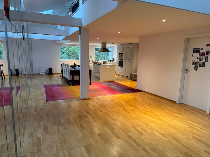 Lichtdurchflutete Loft-attika-maisonnettewohnung - Suisse