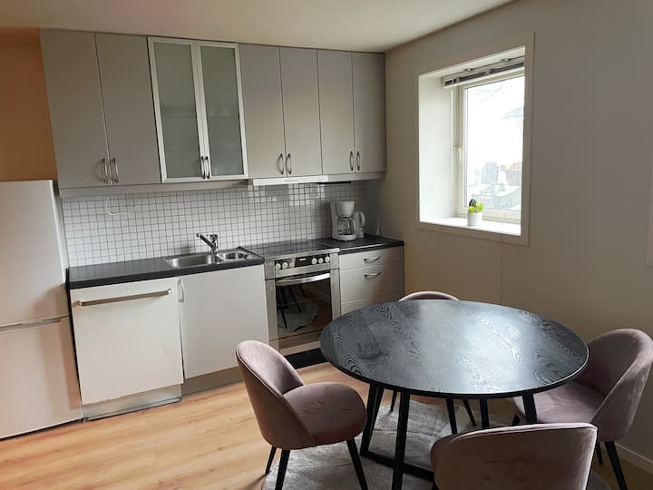 Koselig Leilighet Med Parkering - 트롬쇠