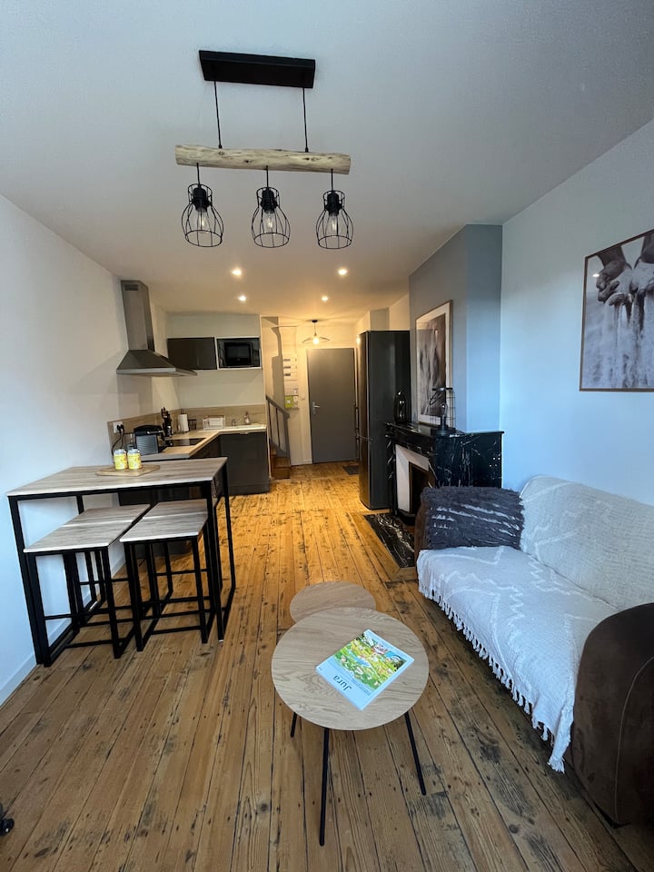 Charmant T2 Au Cœur Du Centre-ville - Lons-le-Saunier