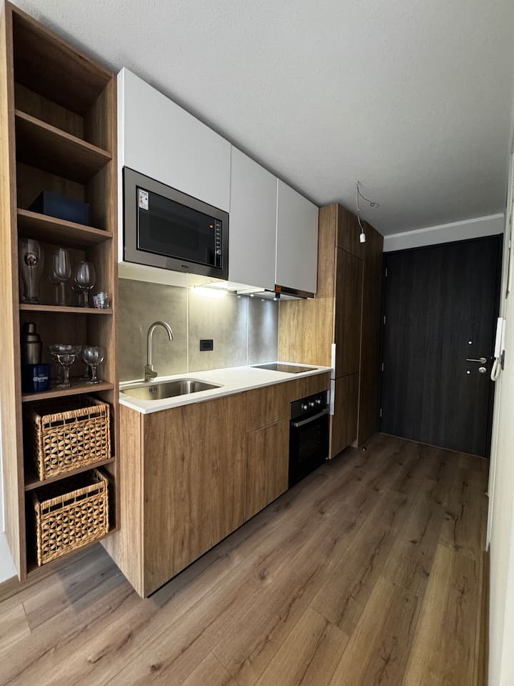 Céntrico Y Acogedor En Santiago - Providencia