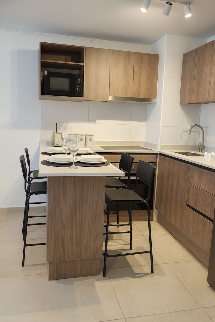 2br W/ Garden Patio, Sofa Bed & Parking - Santiago