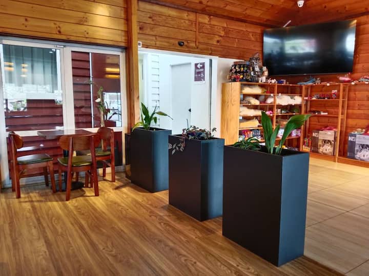 A Hotel Room, 2 Double Beds With Private Bathroom - Rotorua