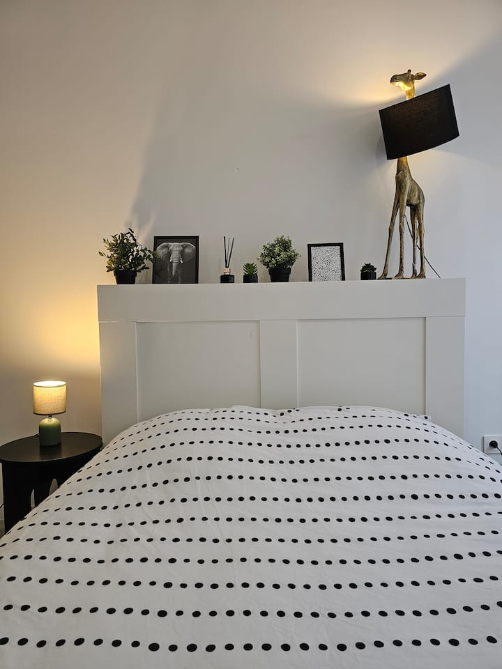 L'essentiel -Studio Simple & Lumineux Plein Centre - Grozon