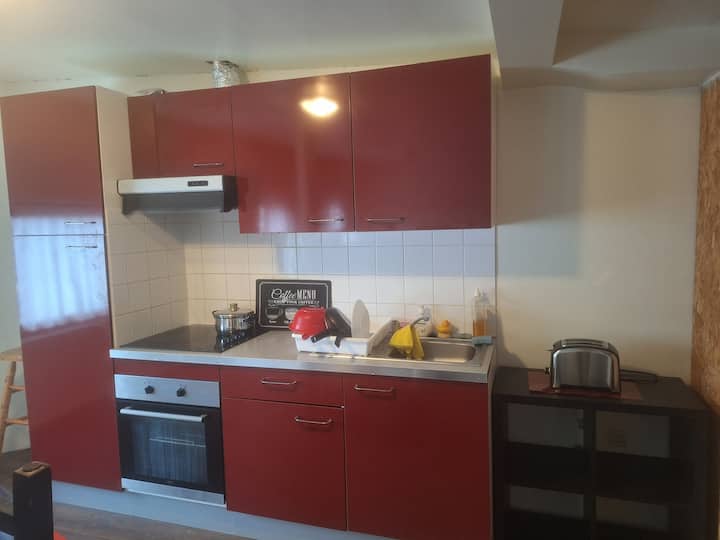 Appartement Une Chambre Dans Le Centre De Fleurus - Fleurus