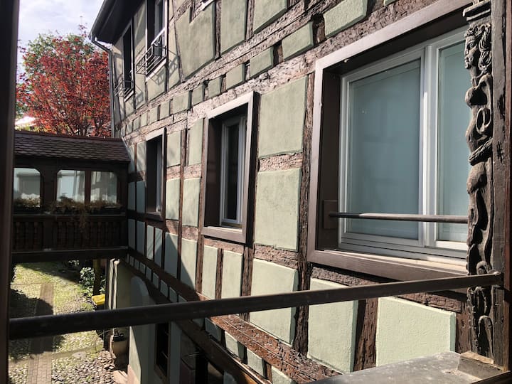 Pêcheurs Vue Cathédrale - Strasbourg