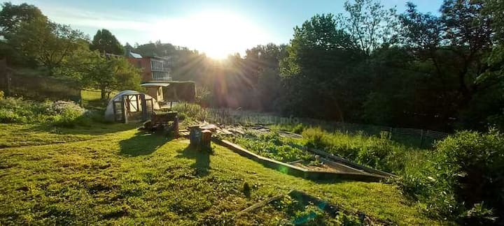 Cute Caravan Hideaway In Nature - Graz