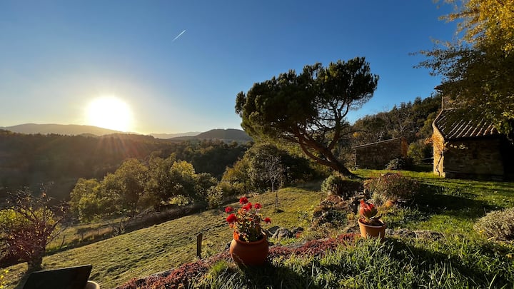 Domaine Vinson | Ferme Historique | Chef & Piscine - Tournon-sur-Rhône