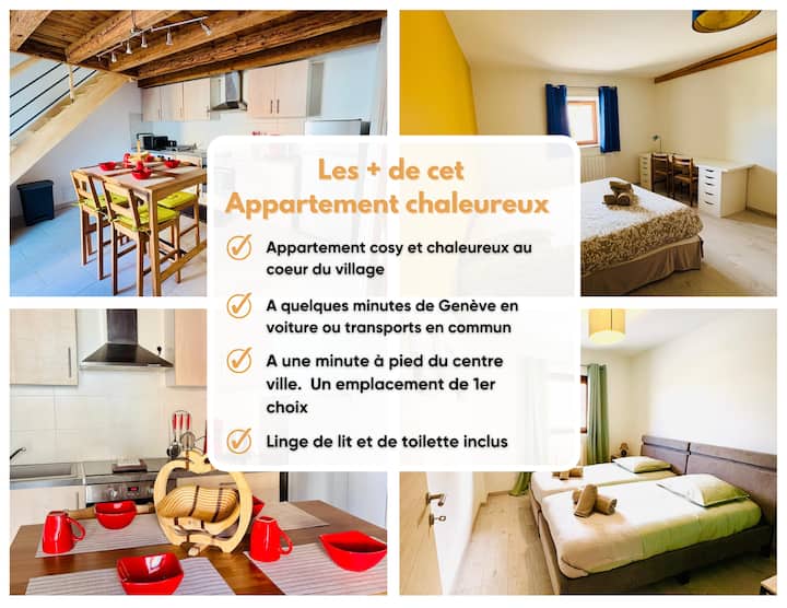 Appt De Charme Aux Portes De Genève - Archamps