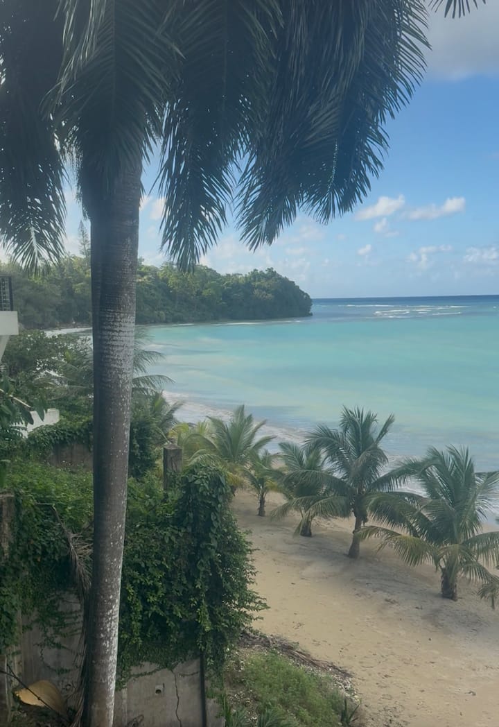 Seaside Jamaican Manor – Private Beachfront Access - Jamaica