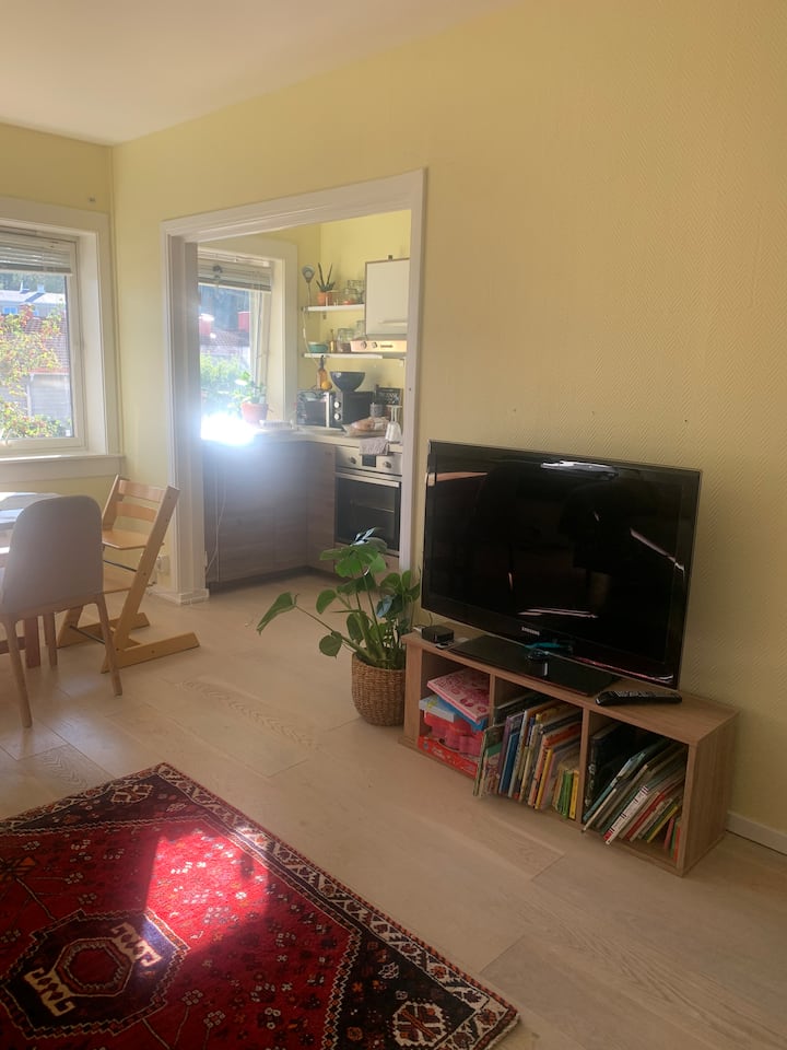 Family And Pet Friendly Apartment - Oslo
