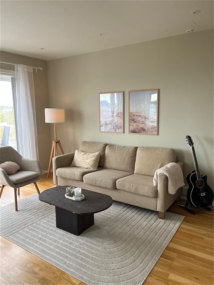 Moderne Leilighet Med Utsikt - Trondheim