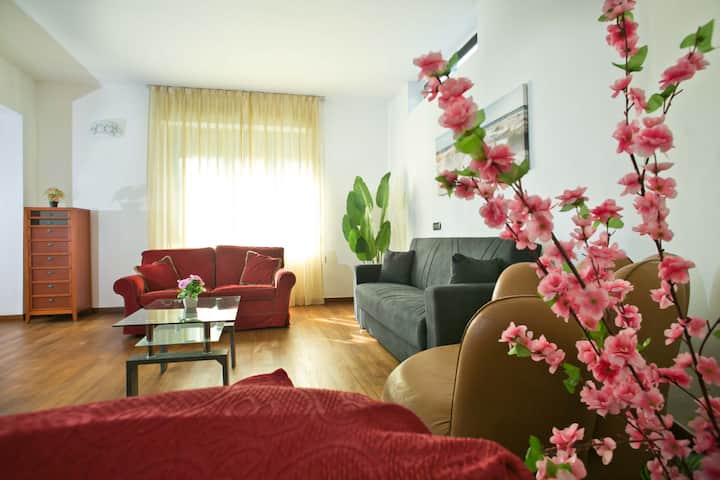 Family & Friends A Como - Park Free, Wifi - Como