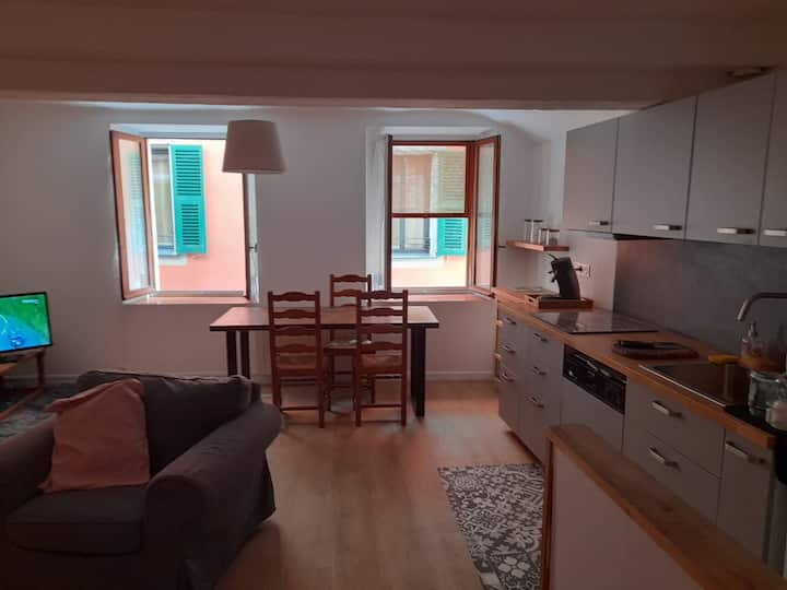 Location 3p St Etienne De Tinée - Auron