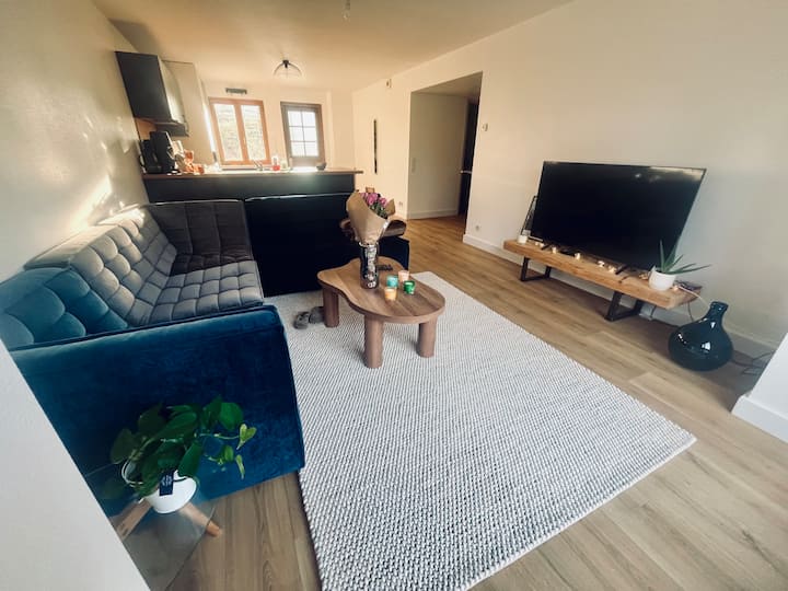 Appartement Avec Jardin Cosy - Saint-Jorioz