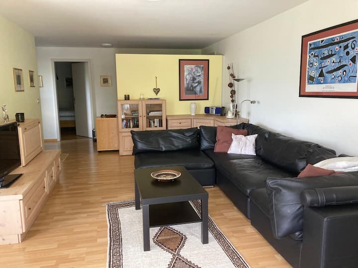 Ferienwohnung In Andermatt - Andermatt