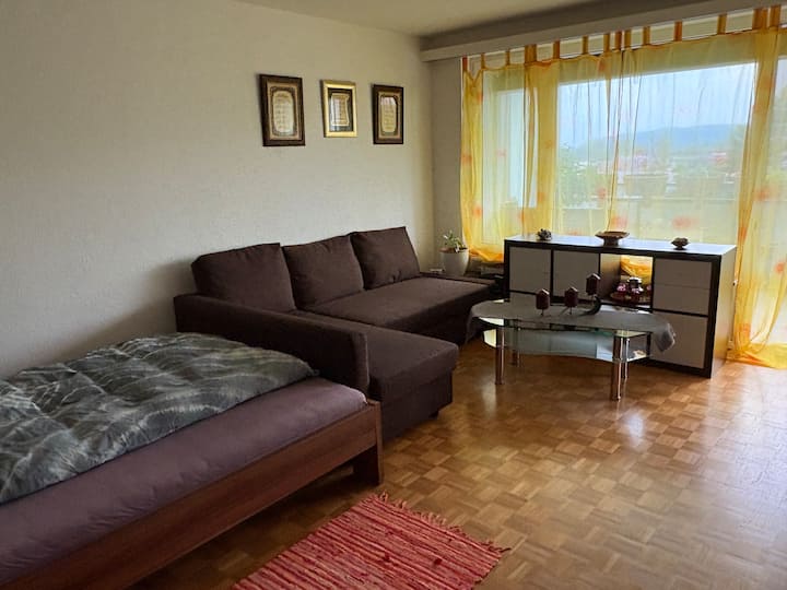 Heimelig In Grenchen - Kanton Solothurn