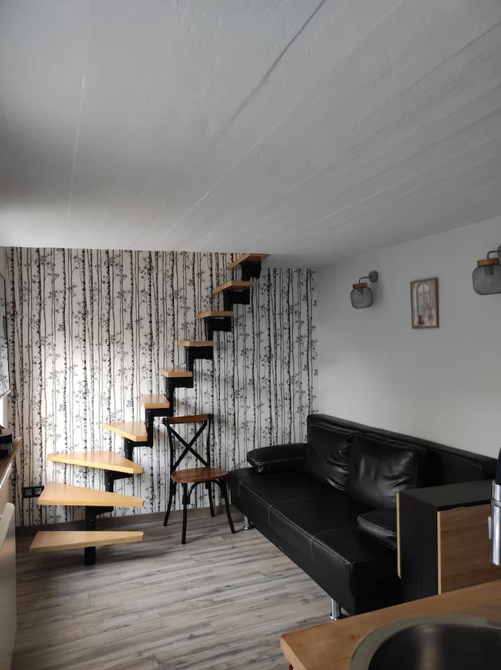 Maisonnette Indépendante - Fegersheim