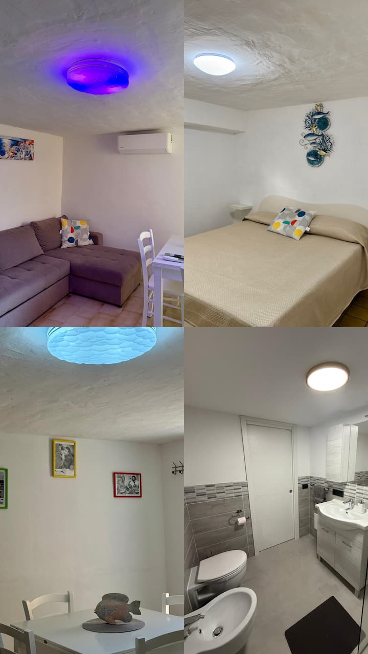 Relax E Comfort In Apartment Lilly - Olbia