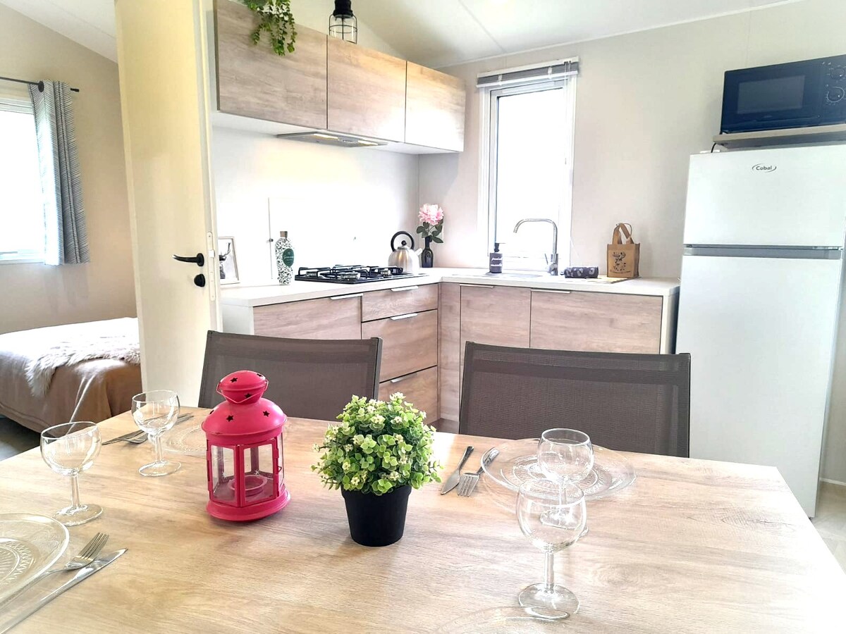 Mobil-home Myrtille à St Lary Soulan N°96 - Bungalows à louer à Saint ...