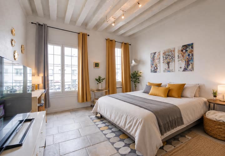 Loft Historique Lumineux, Douche Spa - Vieux Tours - Tours
