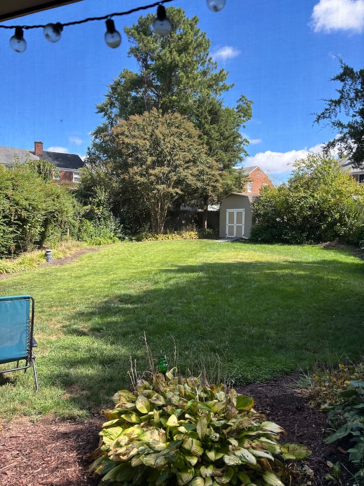 Cozy House With Private Backyard & Prime Location. - Delaware