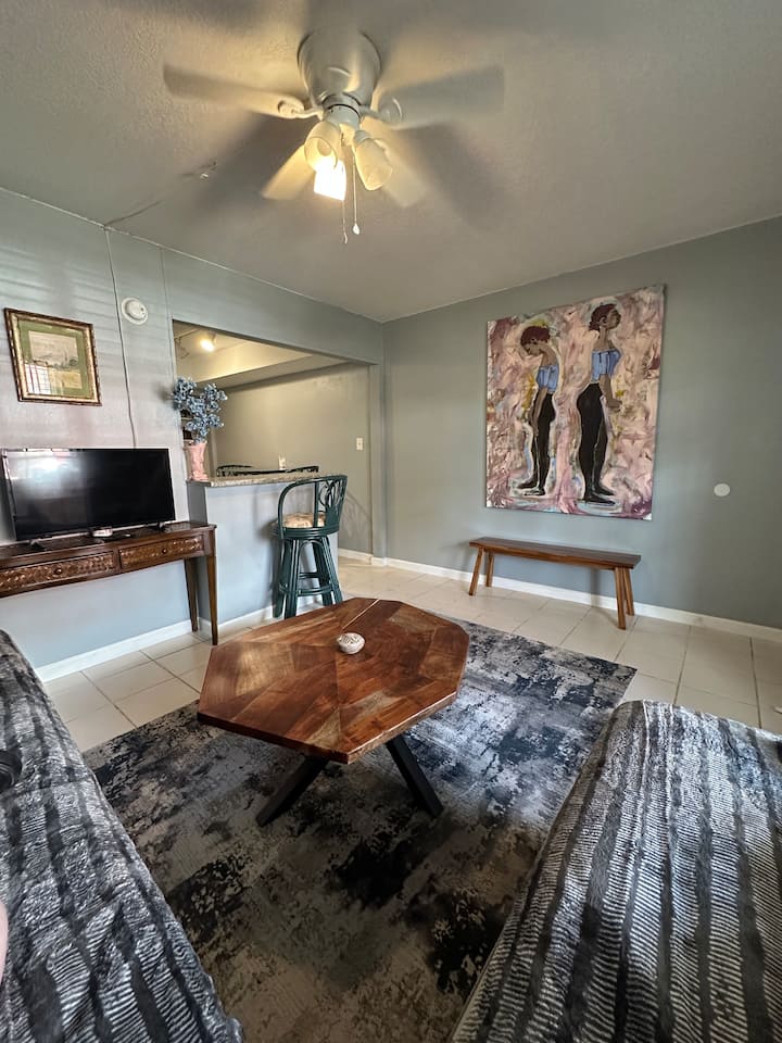 Walking Distance To Tampa General Hospital. - Davis Islands, FL