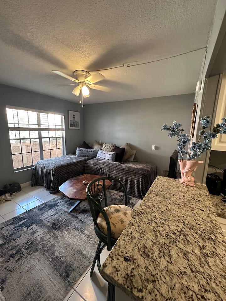 Quiet Island Apartment - Tampa