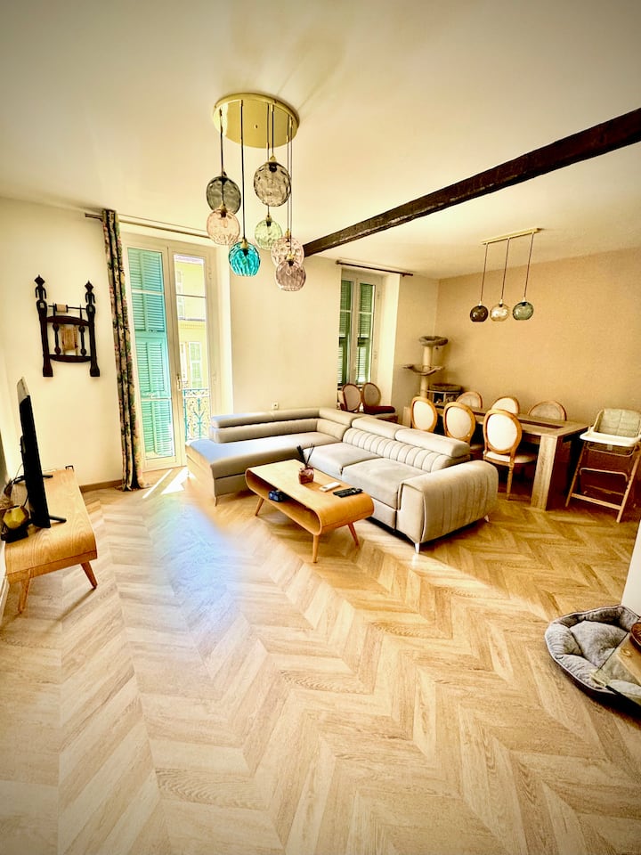 Grand 3 Pièces De 80 M2 Climatisé Centre Ville - Nizza