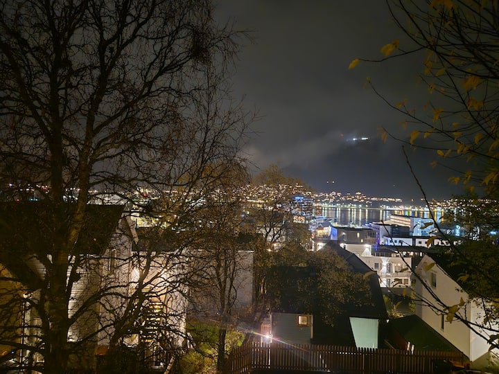 Leilighet I Sentrum Med Peis Og Balkong - Tromsø