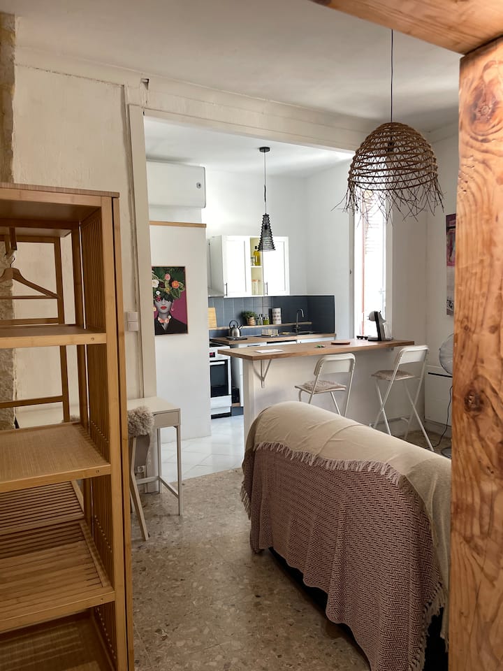 Mignon Studio Centre-ville. - Avignon