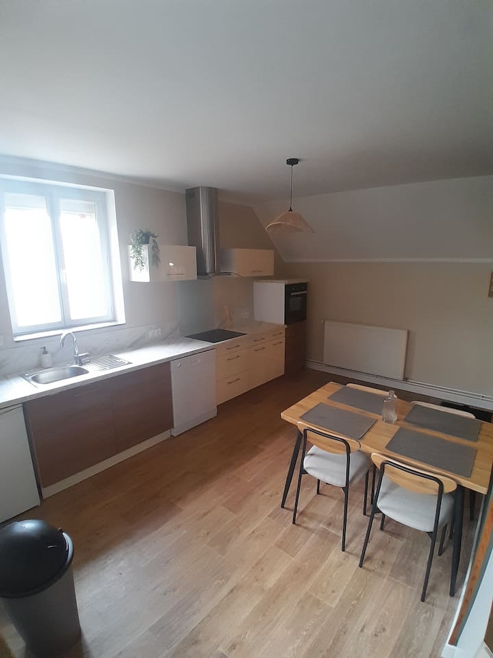 La Maillotte Appartement - Albert