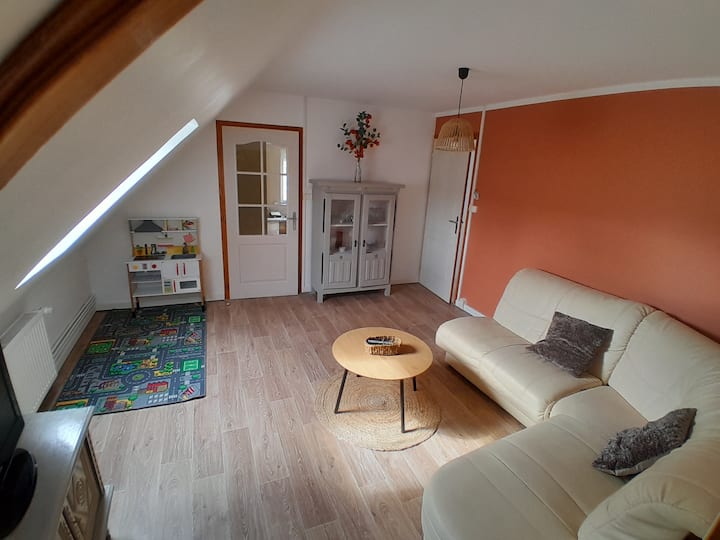 La Maillotte Appartement - Albert