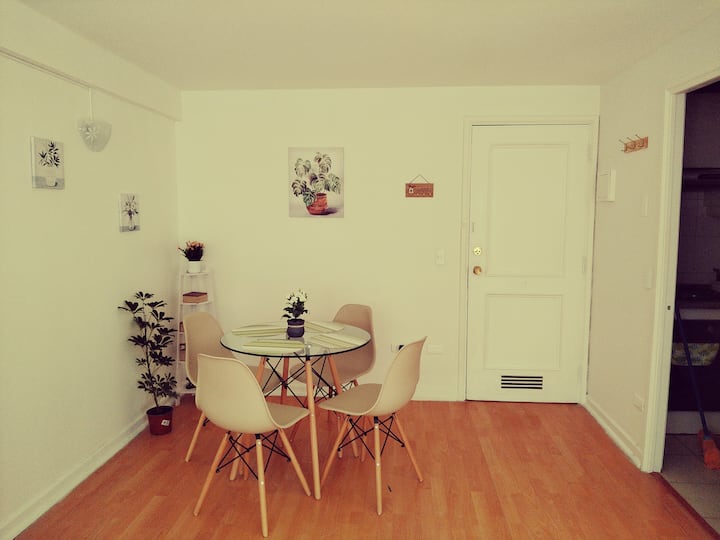 Cómodo Y Amplio Depto. En Providencia - Province de Valparaíso