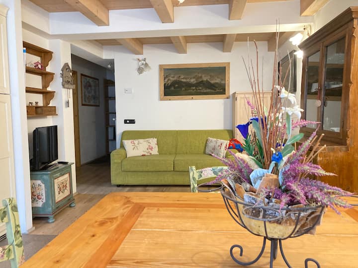 Casa Delle Dolomiti-rifugio Accogliente A Predazzo - Predazzo