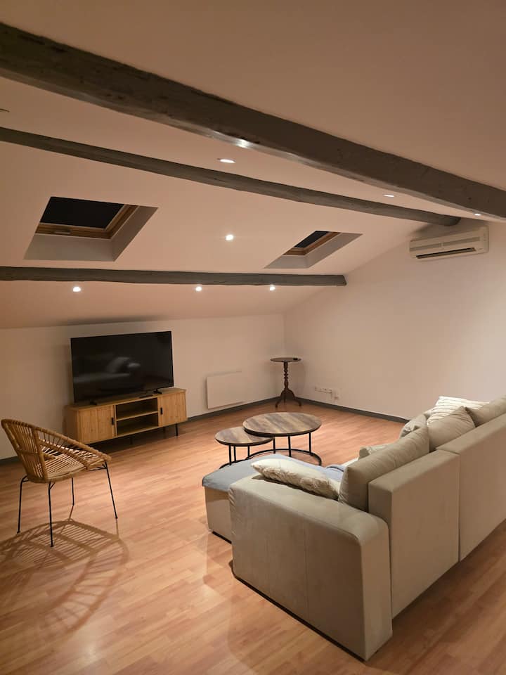 Grand Duplex Lumineux De 122m² - Romans-sur-Isère