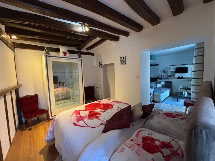 Apt Proche De Meaux Serris Cdg - Meaux