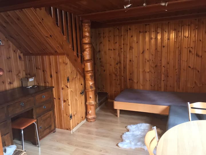 Charmant Petit Duplex - Zinal