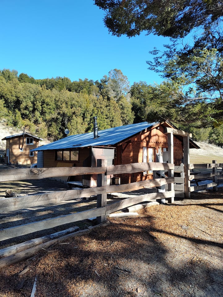 Ven Y Conecta Con La Naturaleza - Villa La Angostura