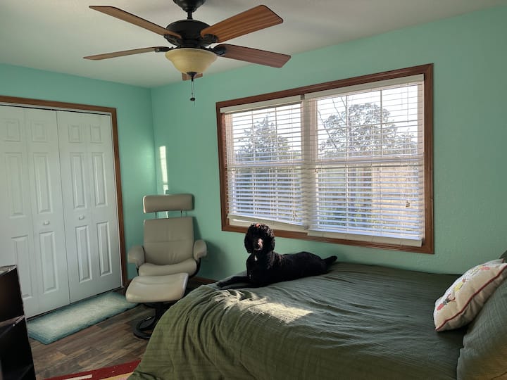 Best Guest Bedroom Ever Let’s Go - Morgantown, WV