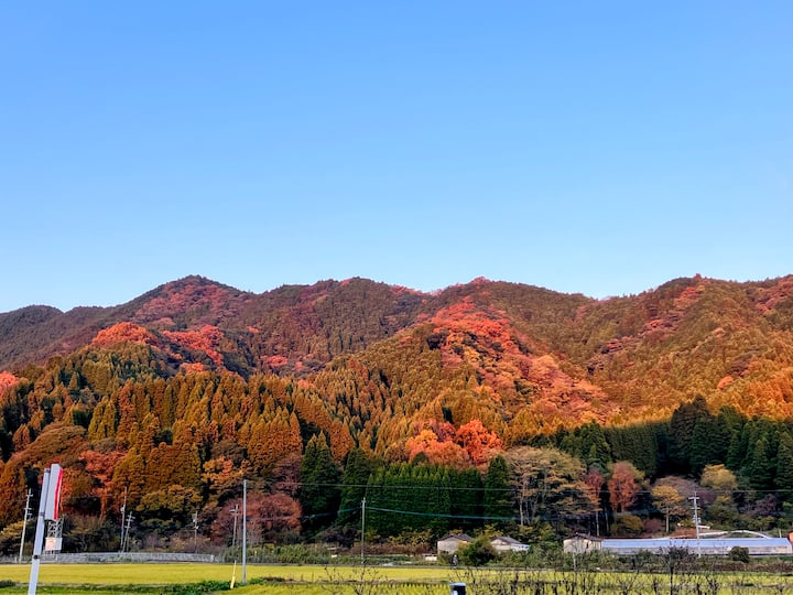 【1日1組限定】げすとはうす彩り
~のどかな田舎町の一軒家~ - Saga