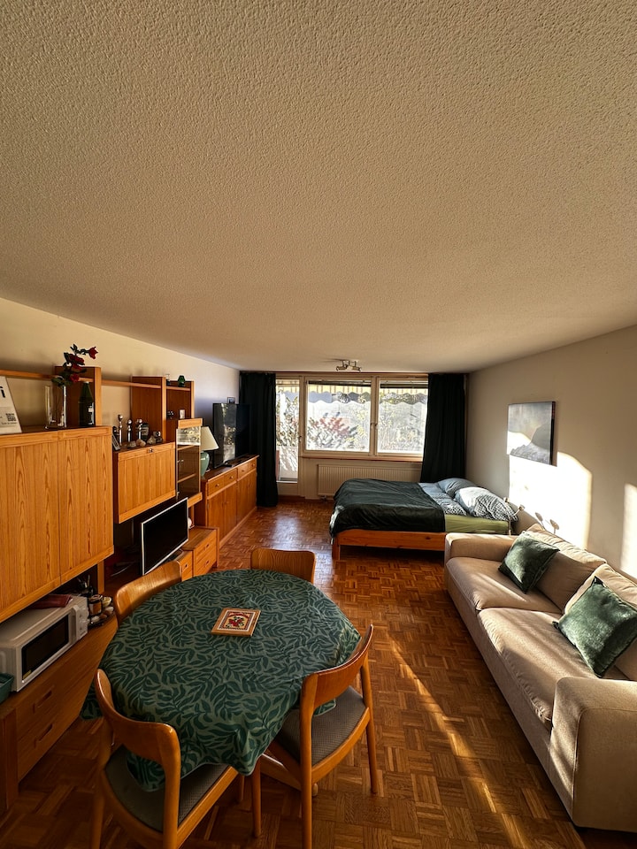 Charming Studio Chur - Lenzerheide (Lai)