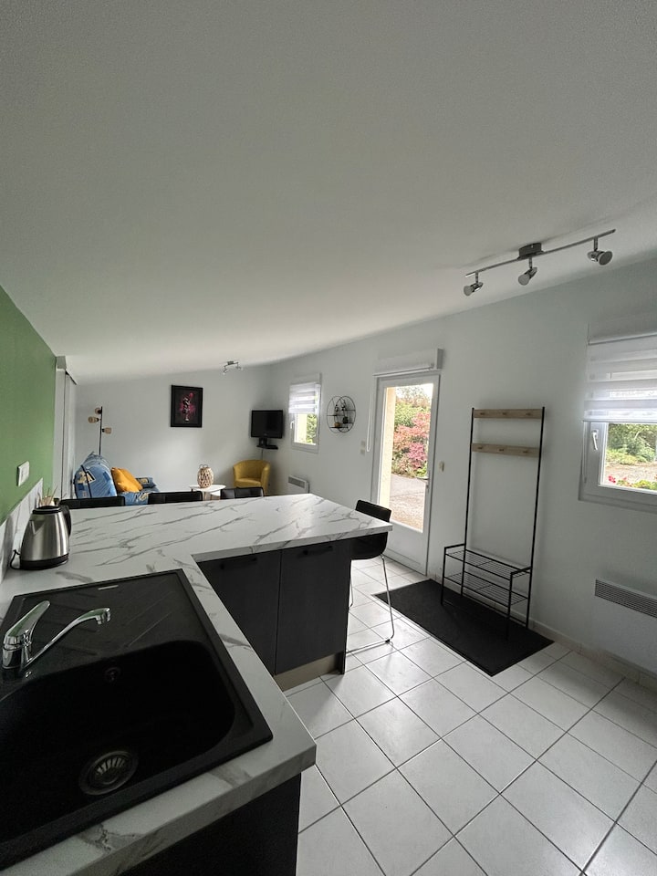 Ancien Bureau (55m²) - Lonny