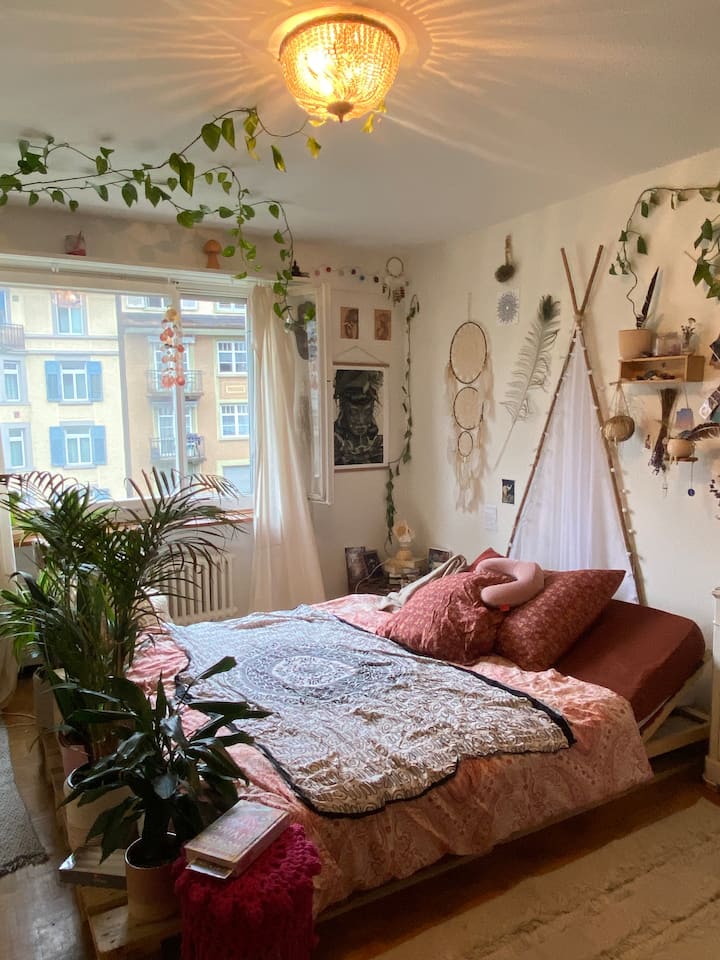 Jungle House - Luzern