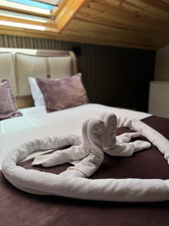 ŞEhir Merkezinde Harika Konsept - Bolu