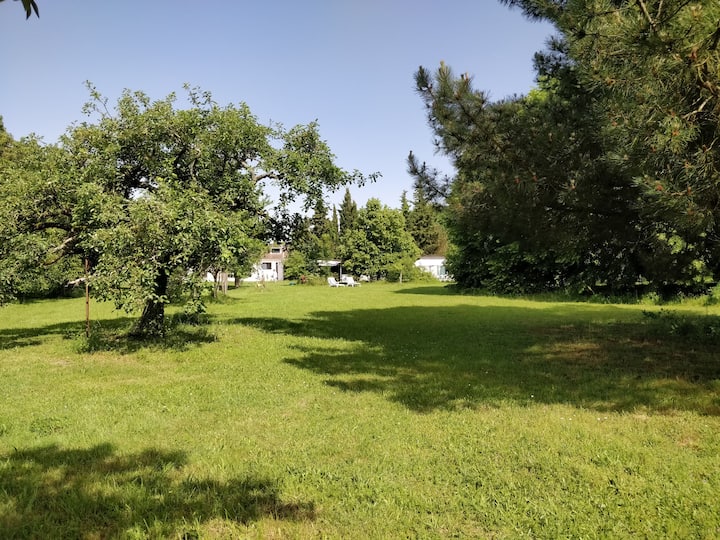 Maison Avec 15000m² De Jardin - Souppes-sur-Loing