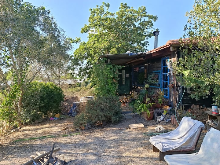 בקתה של שבת - Israel