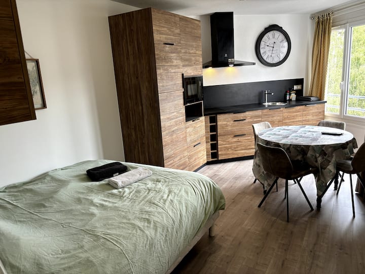Wifi - Tv - Verdoyant - Studio - Annemasse