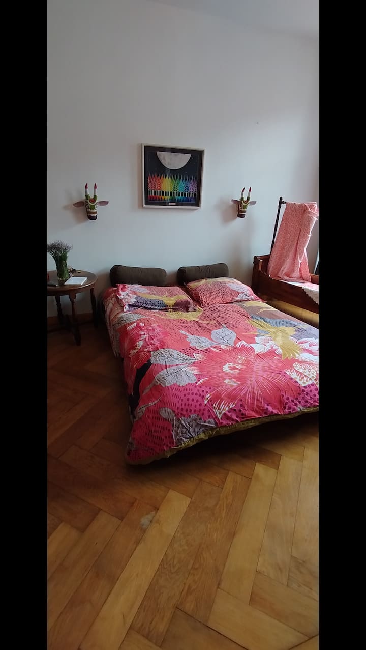 Chambre Chez L'artiste - Évian-les-Bains