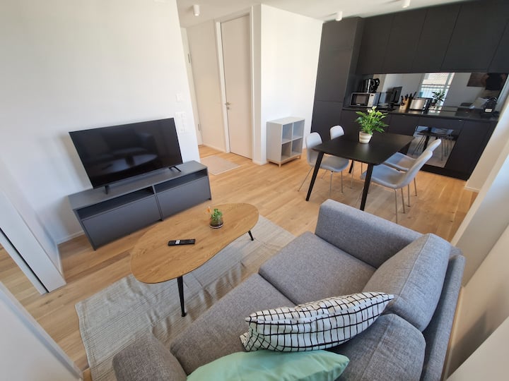 Cozy 1-bedroom Apt.-zurich (402) - Zurigo