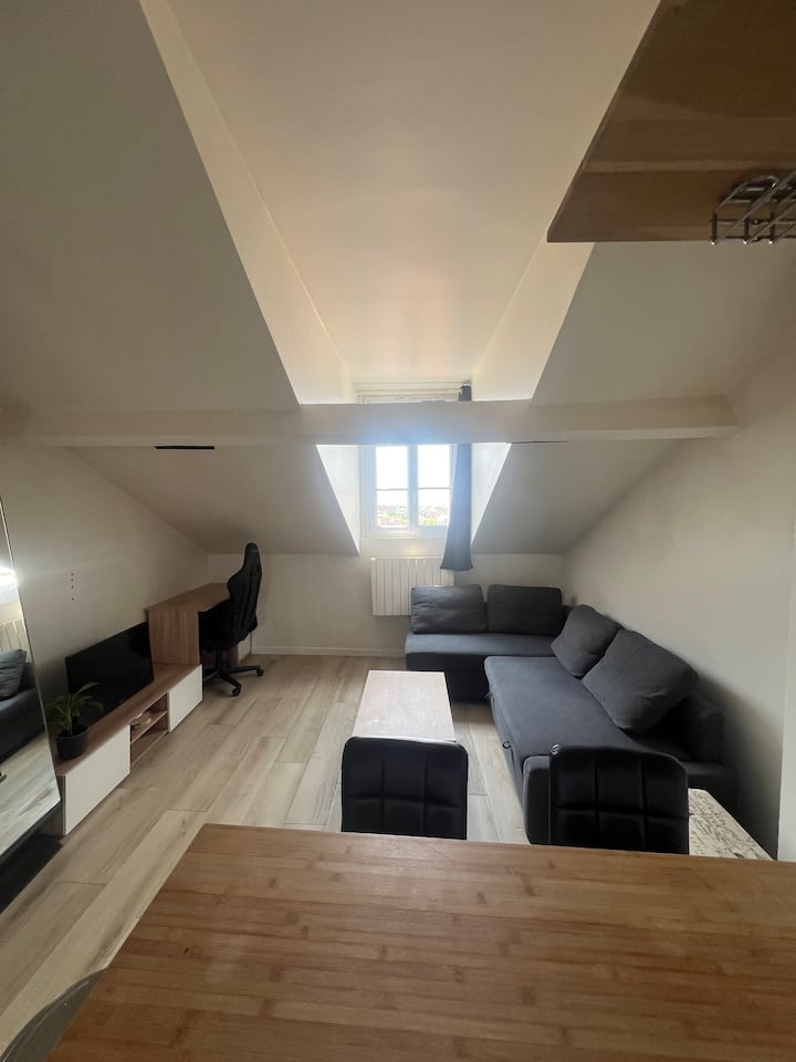 Appartement - Maisons-Alfort